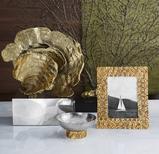 Palm Frame – dana jordan